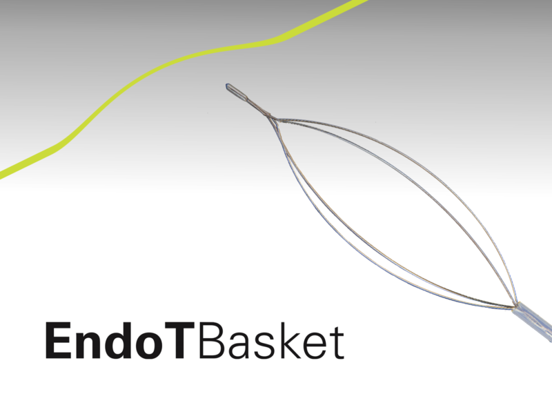 Products – Endo-Therapeutics, Inc.